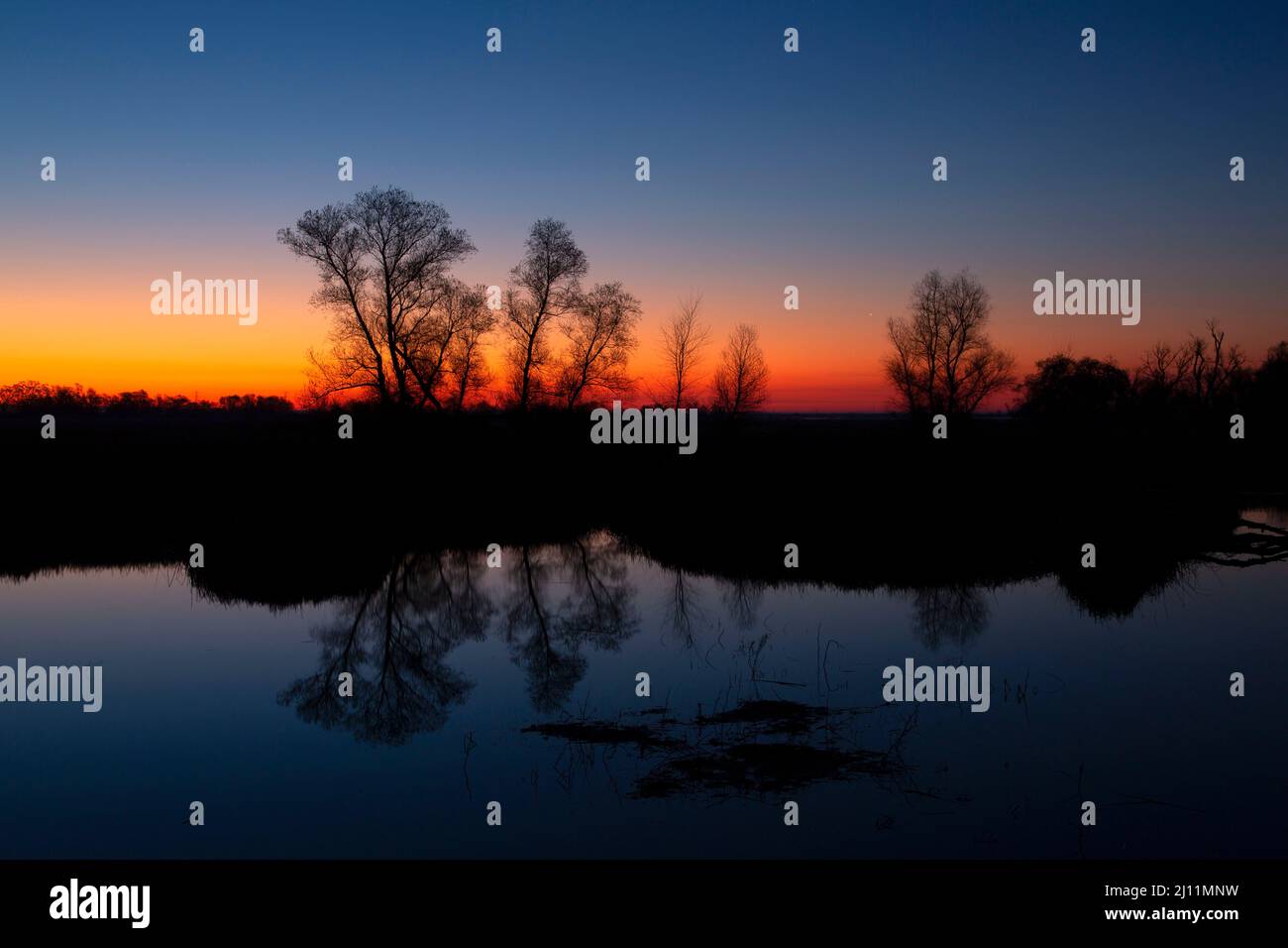 Marsh dawn, Colusa National Wildlife Refuge, California Stock Photo - Alamy