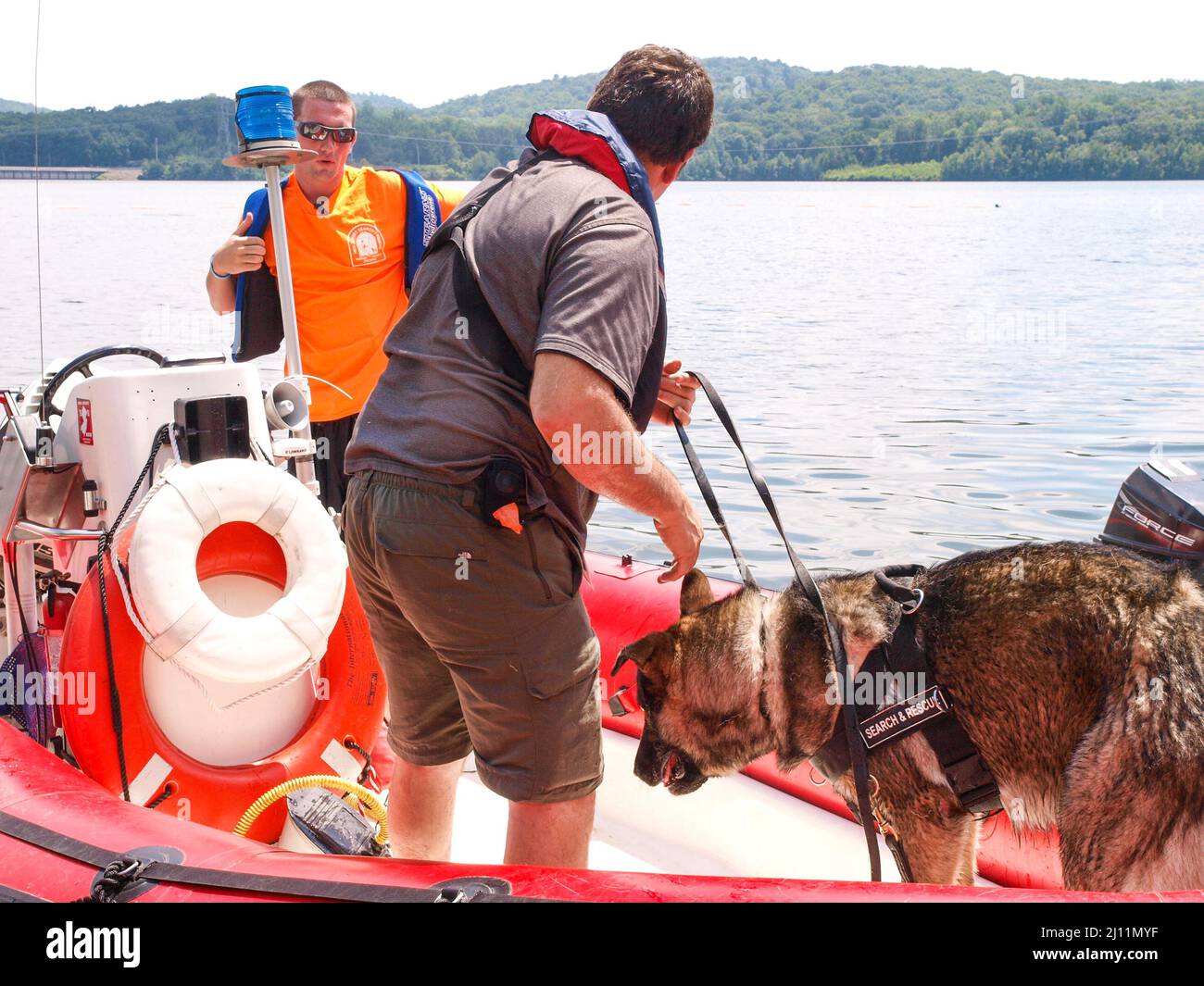 Search and Rescue Dog. Water Rescue Drill Stock Photo - Alamy