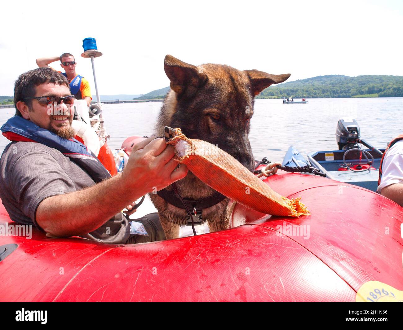 Search and Rescue Dog. Water Rescue Drill Stock Photo - Alamy