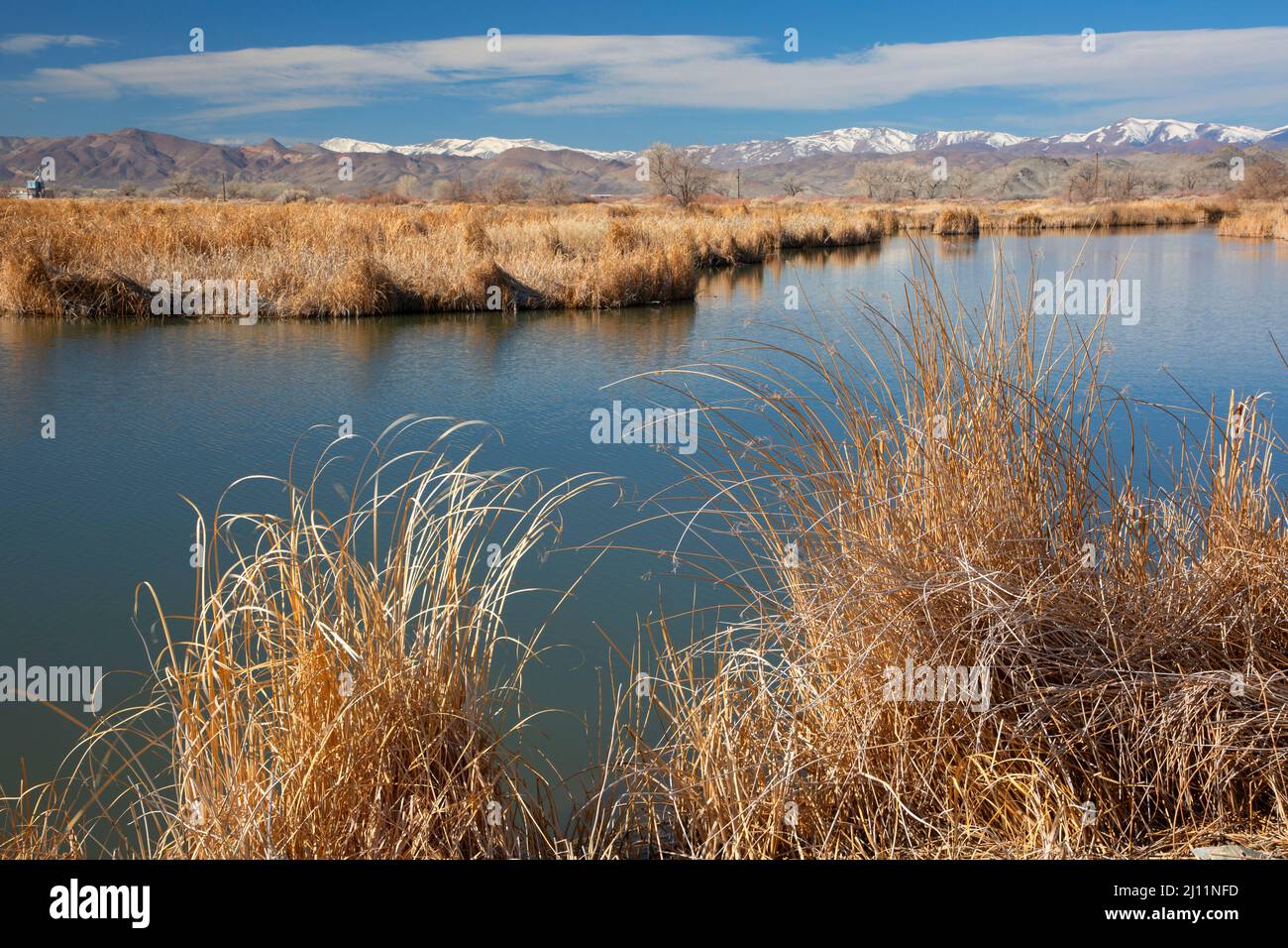 Hinkson Slough, Mason Valley Wildlife Management Area, Nevada Stock ...