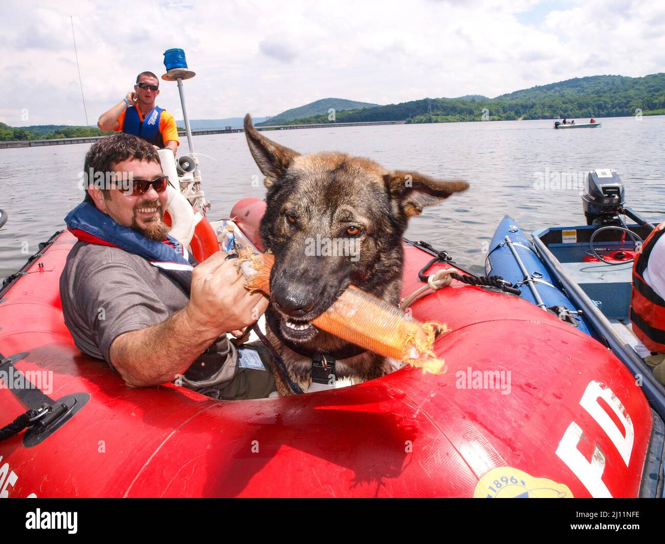 Search and Rescue Dog. Water Rescue Drill Stock Photo - Alamy