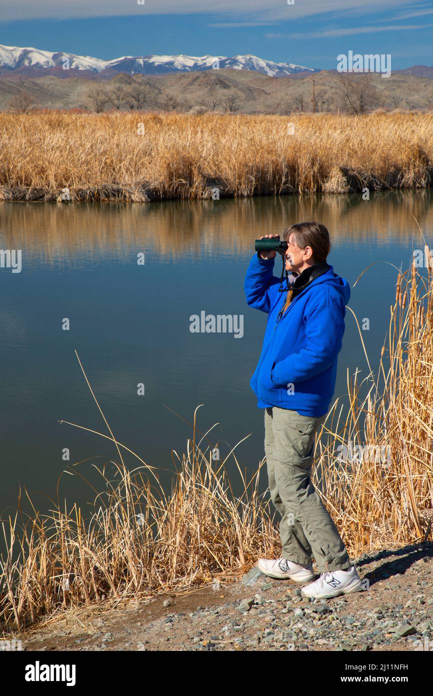 Hinkson slough hi-res stock photography and images - Alamy