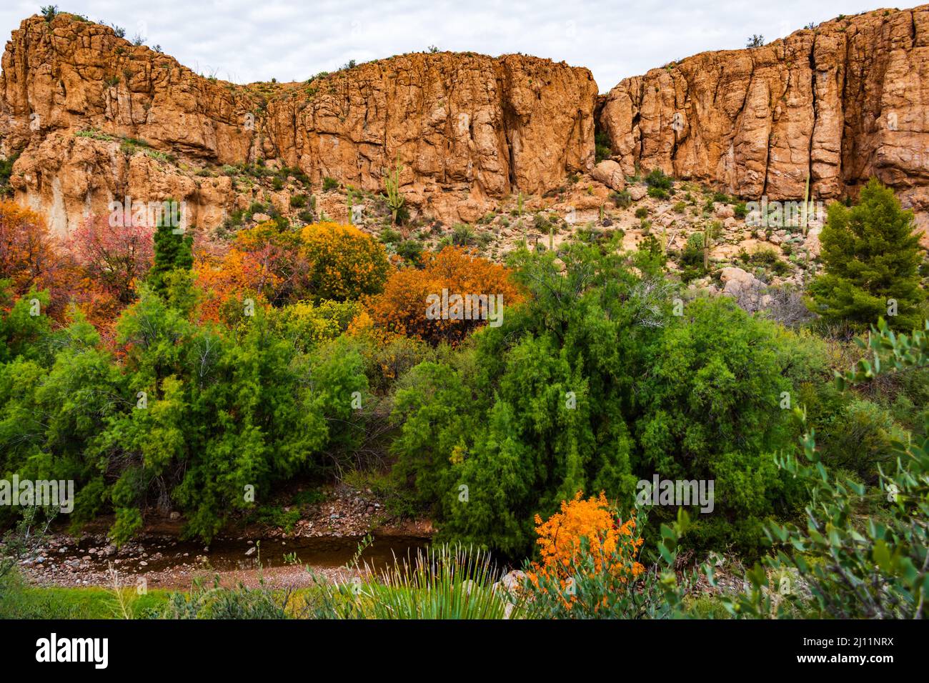 Rock canyon adorned with fall colors on trees and shrubs at a canyon in ...