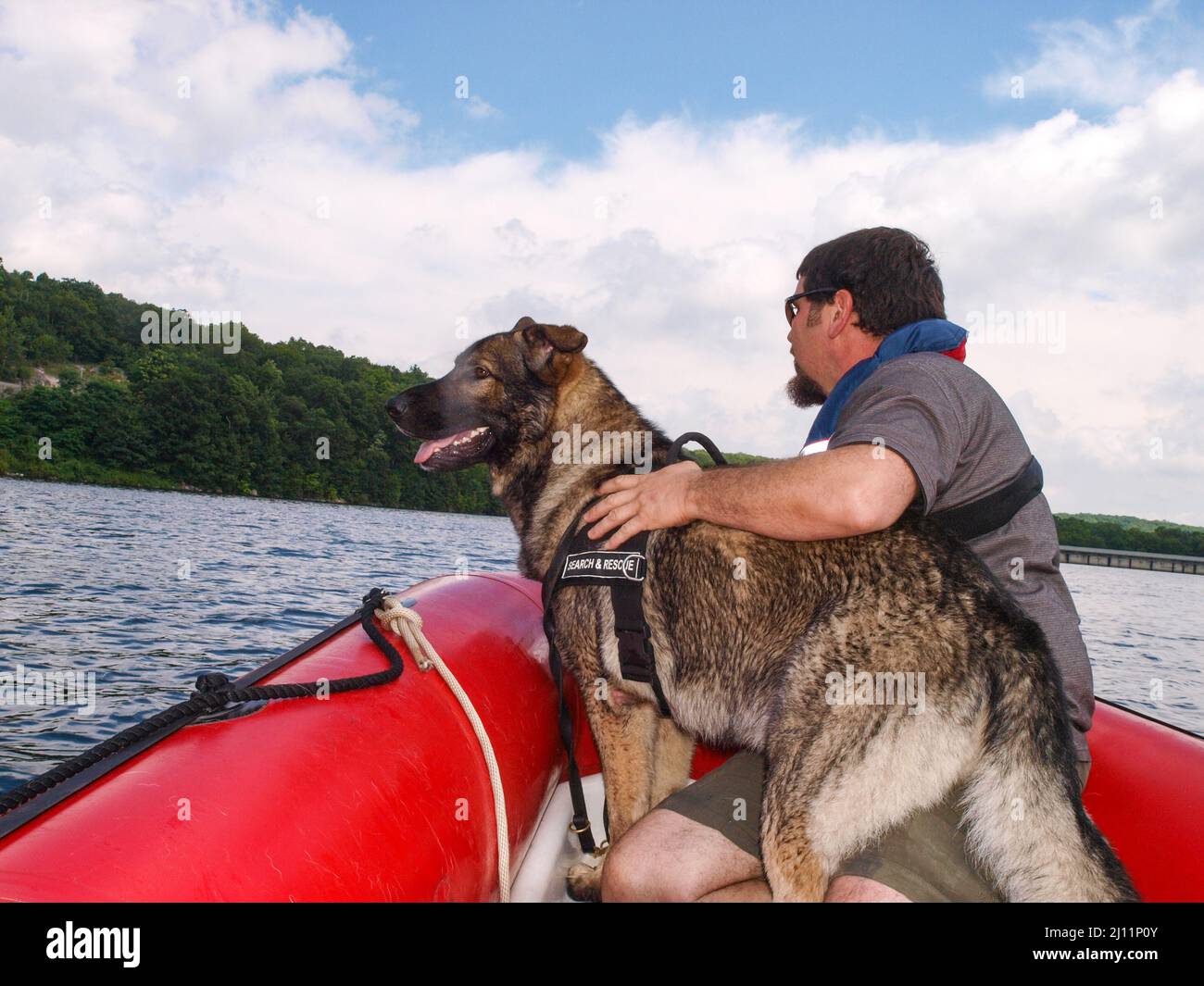 Search and Rescue Dog. Water Rescue Drill Stock Photo - Alamy