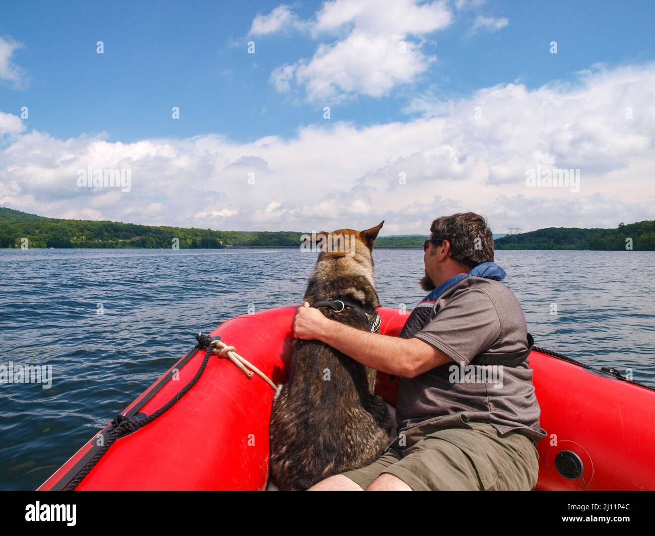 Search and Rescue Dog. Water Rescue Drill Stock Photo - Alamy