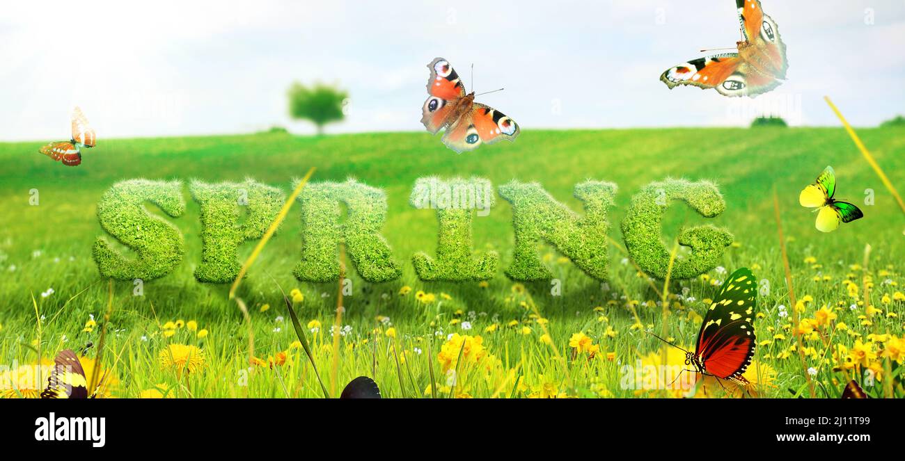 Decorative inscription with letters. Creative spring concept Stock ...