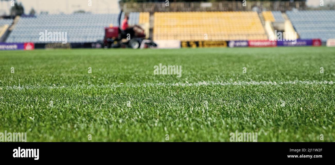 green grass on outdoor stadium, selective focus. sport and games ...