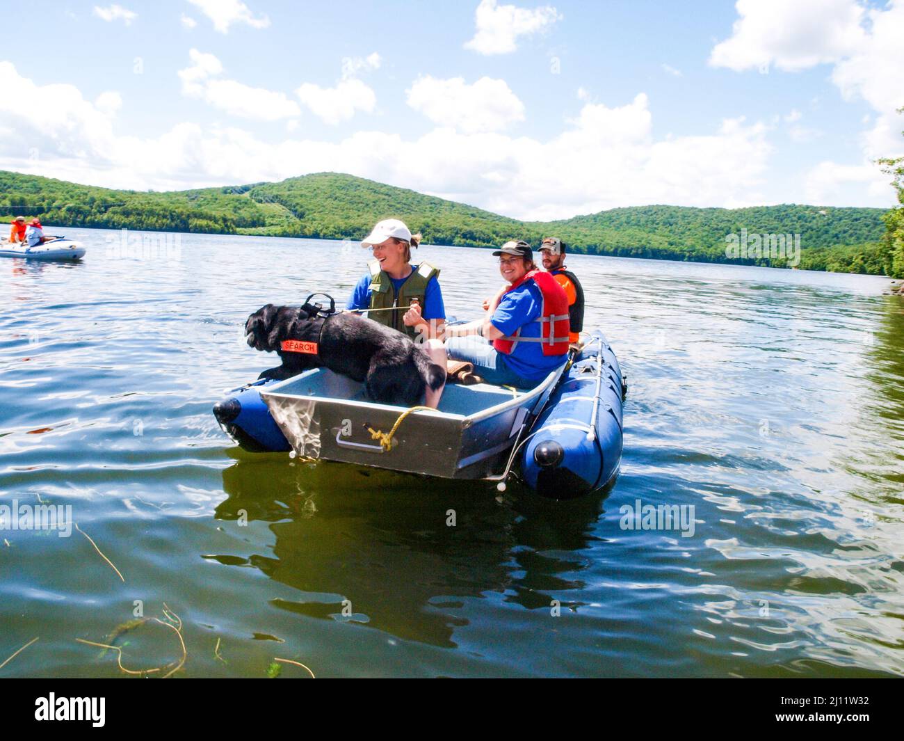 Search and Rescue Dog. Water Rescue Drill Stock Photo - Alamy