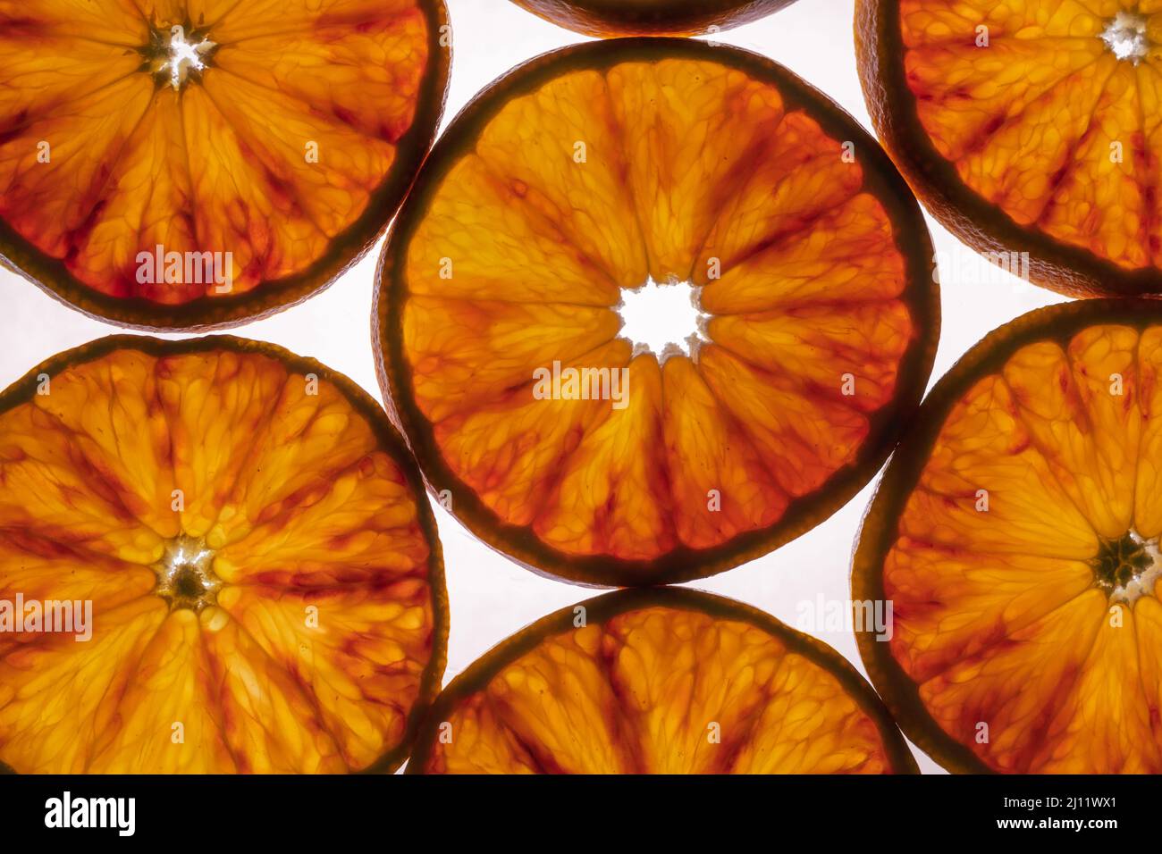 backlit blood oranges Stock Photo - Alamy