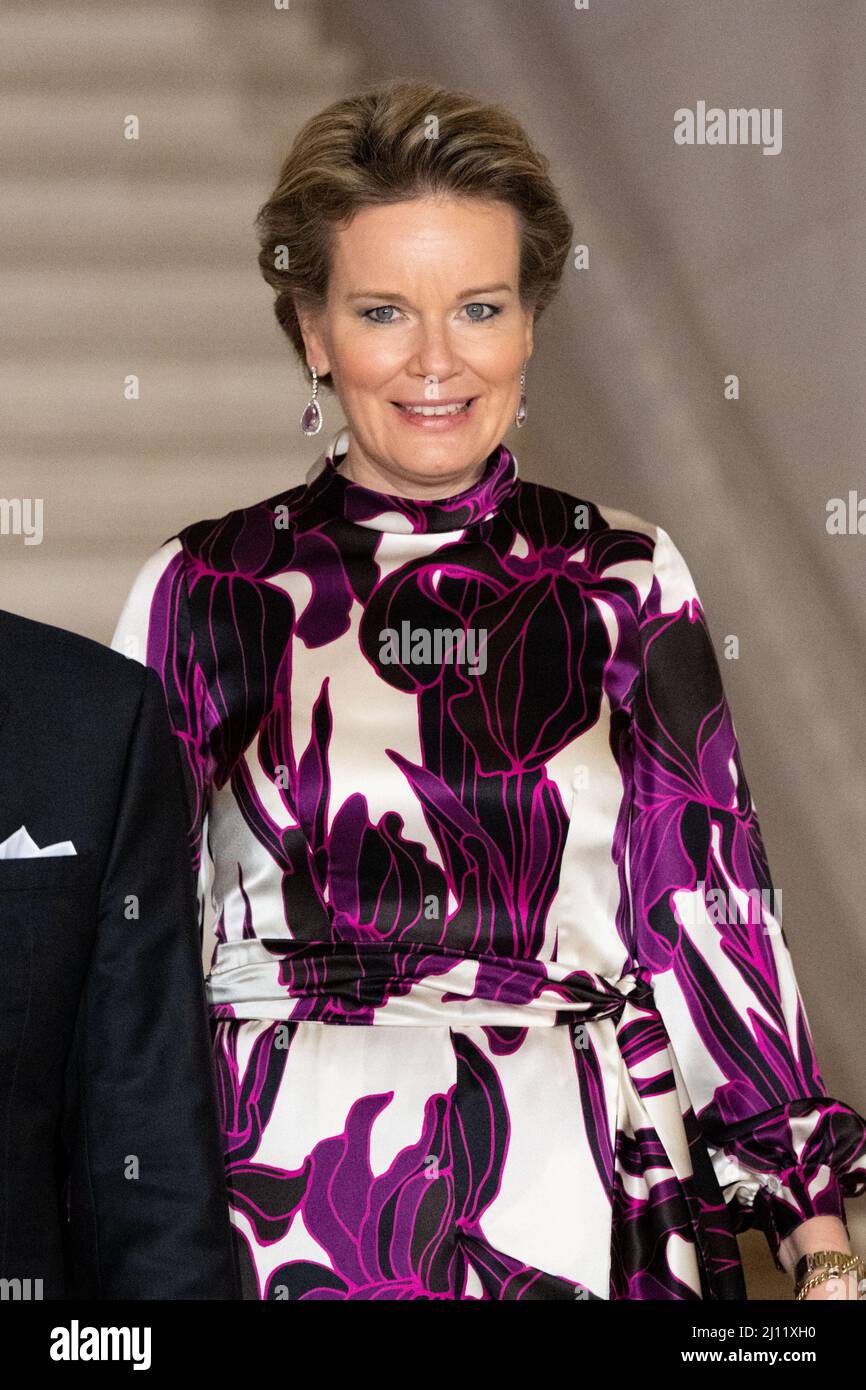 Queen Mathilde of Belgium during the Official Dinner at the Royal ...