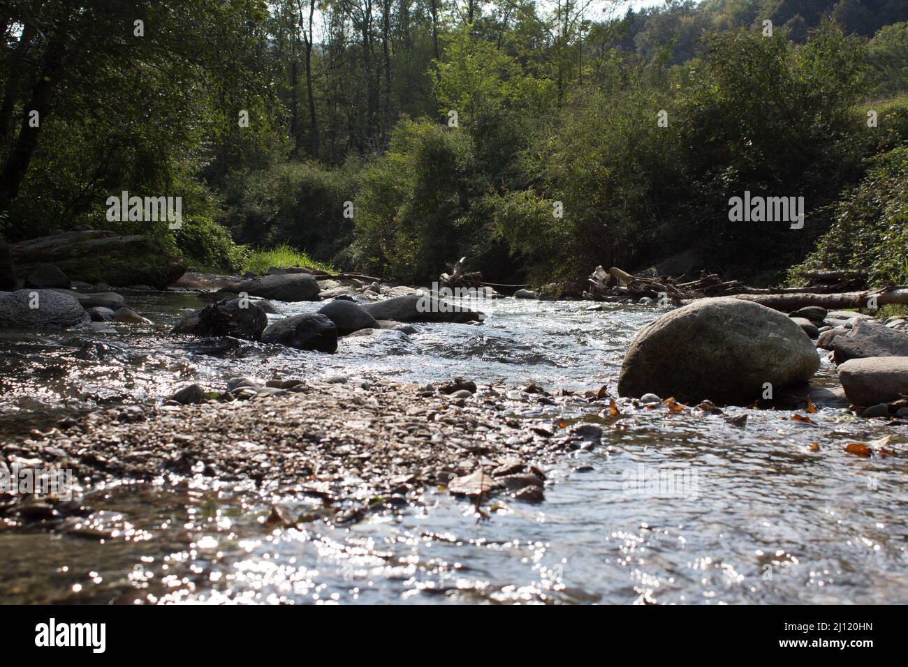 Small mountain river flowing down through rocks and trees under the ...