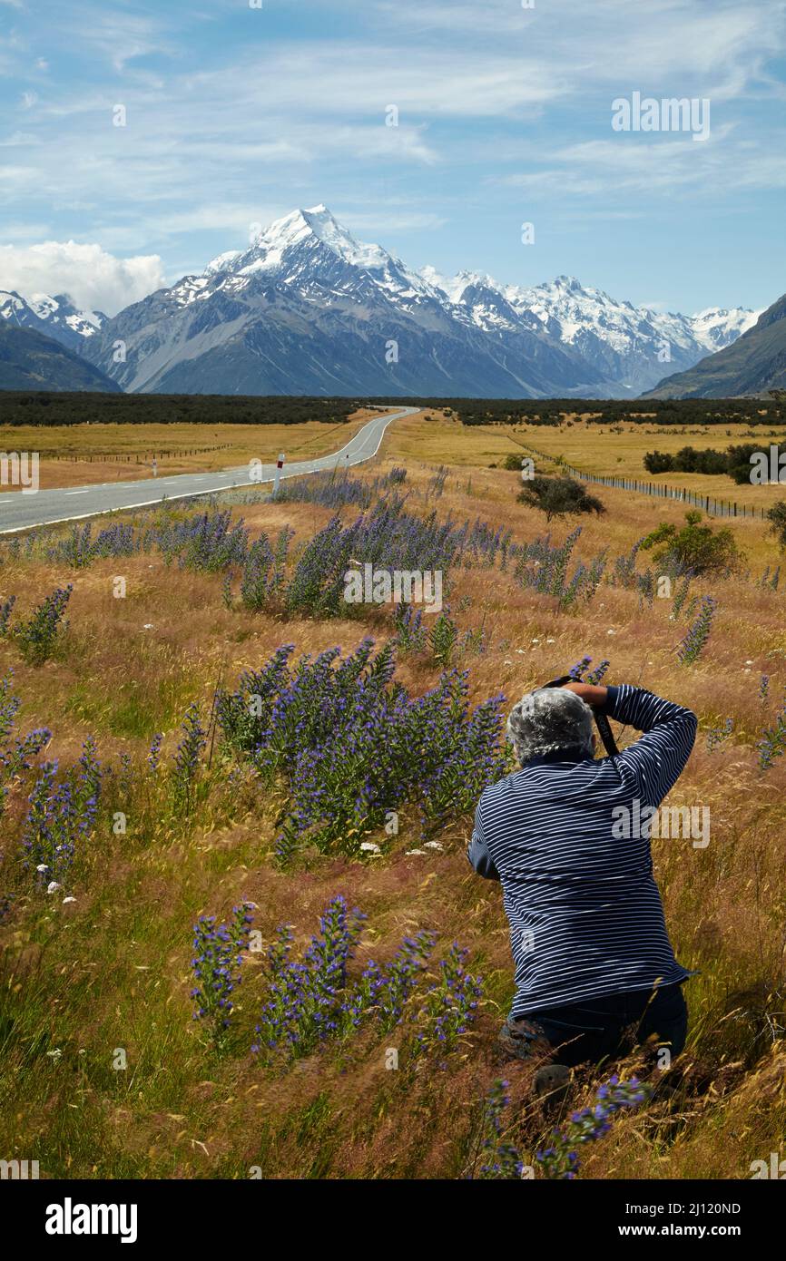 Photographer and Aoraki / Mount Cook, South Island, New Zealand Stock ...