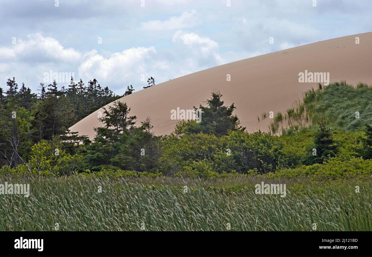 Parabolic sand dune hi-res stock photography and images - Alamy