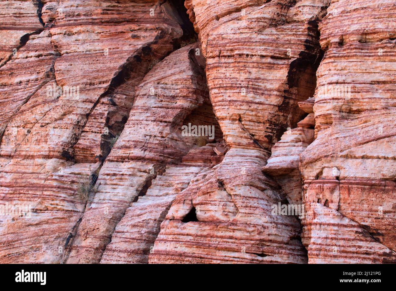 Sandstone outcrop at Calico Hills, Red Rock Canyon National ...