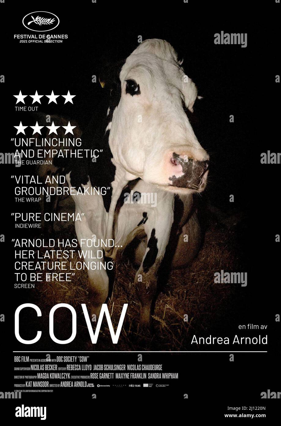 COW, poster in Norwegian and English, 2021. © IFC Films /Courtesy ...