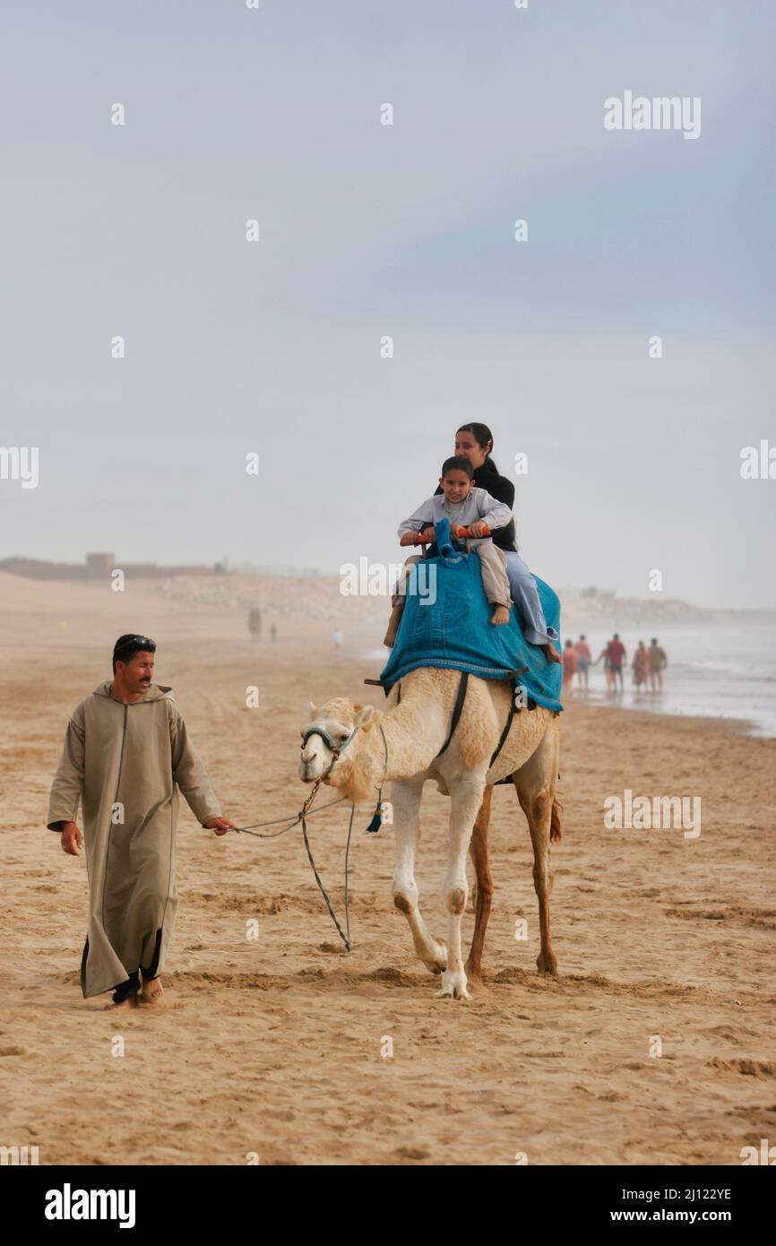 Mother and son take a Camel ride on the beach in Agadir , Morocco Stock ...