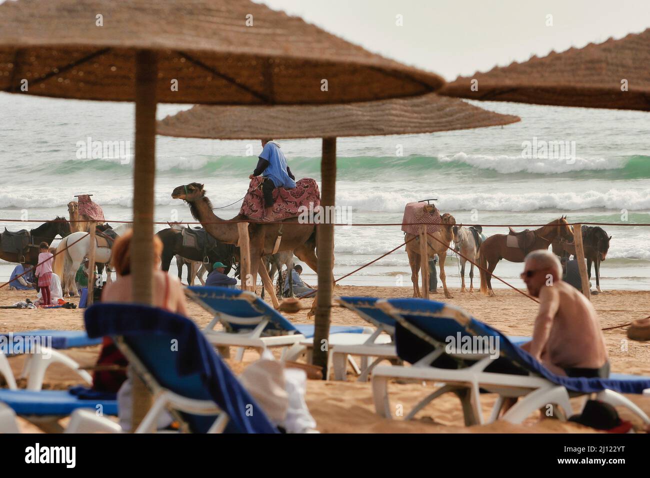 Tourists enjoy the Moroccan beach life and the camels - Agadir, Morocco ...