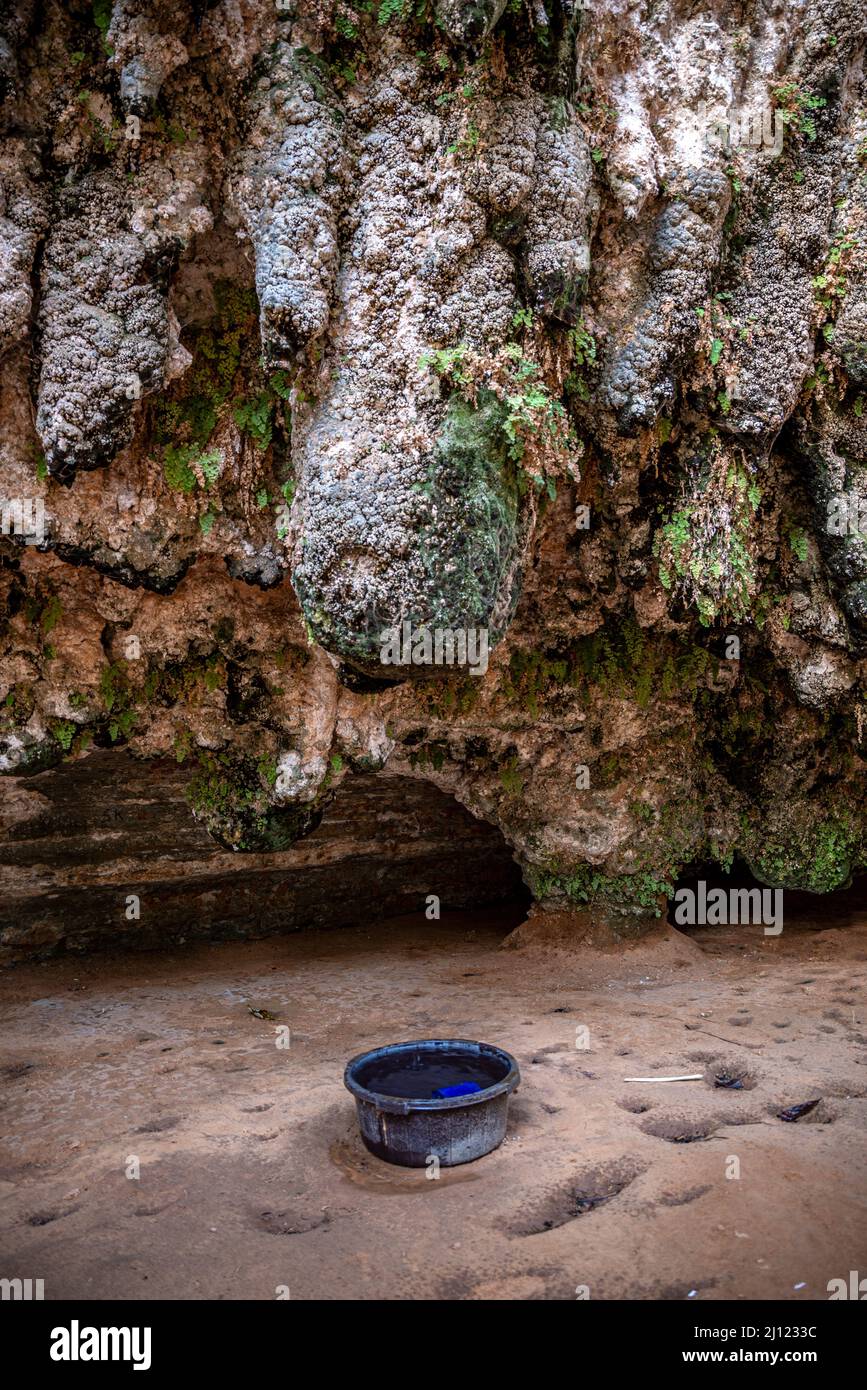 Fresh water dripping out from the rock in Terjit Oasis, Adrar Region ...