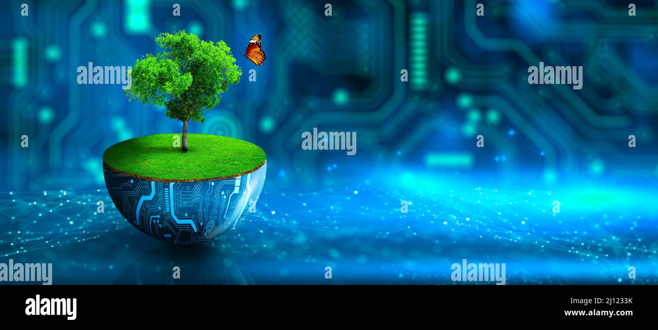 Tree growing on digital plant pot. Eco Technology and Technology ...