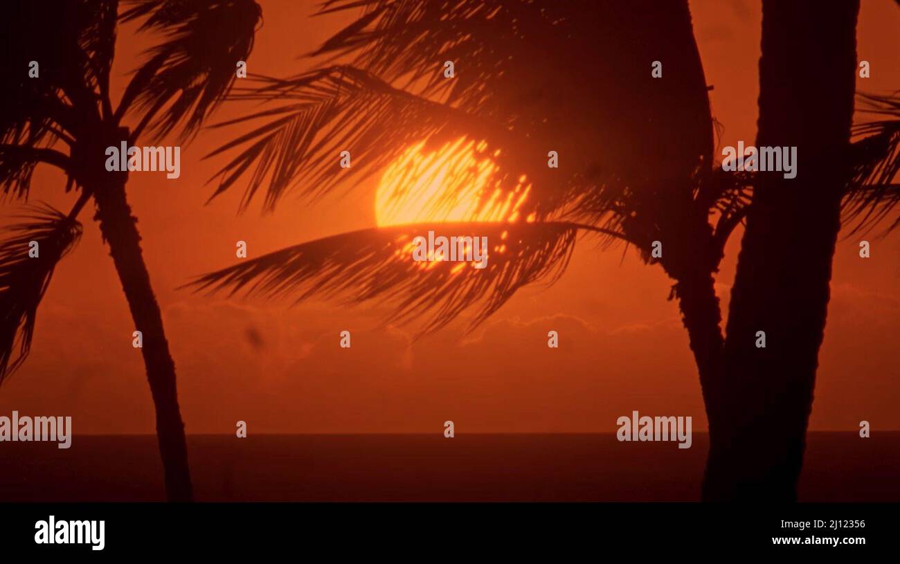 ROCK BOTTOM RISER, Hawaii, 2021. © The Cinema Guild / courtesy Everett ...