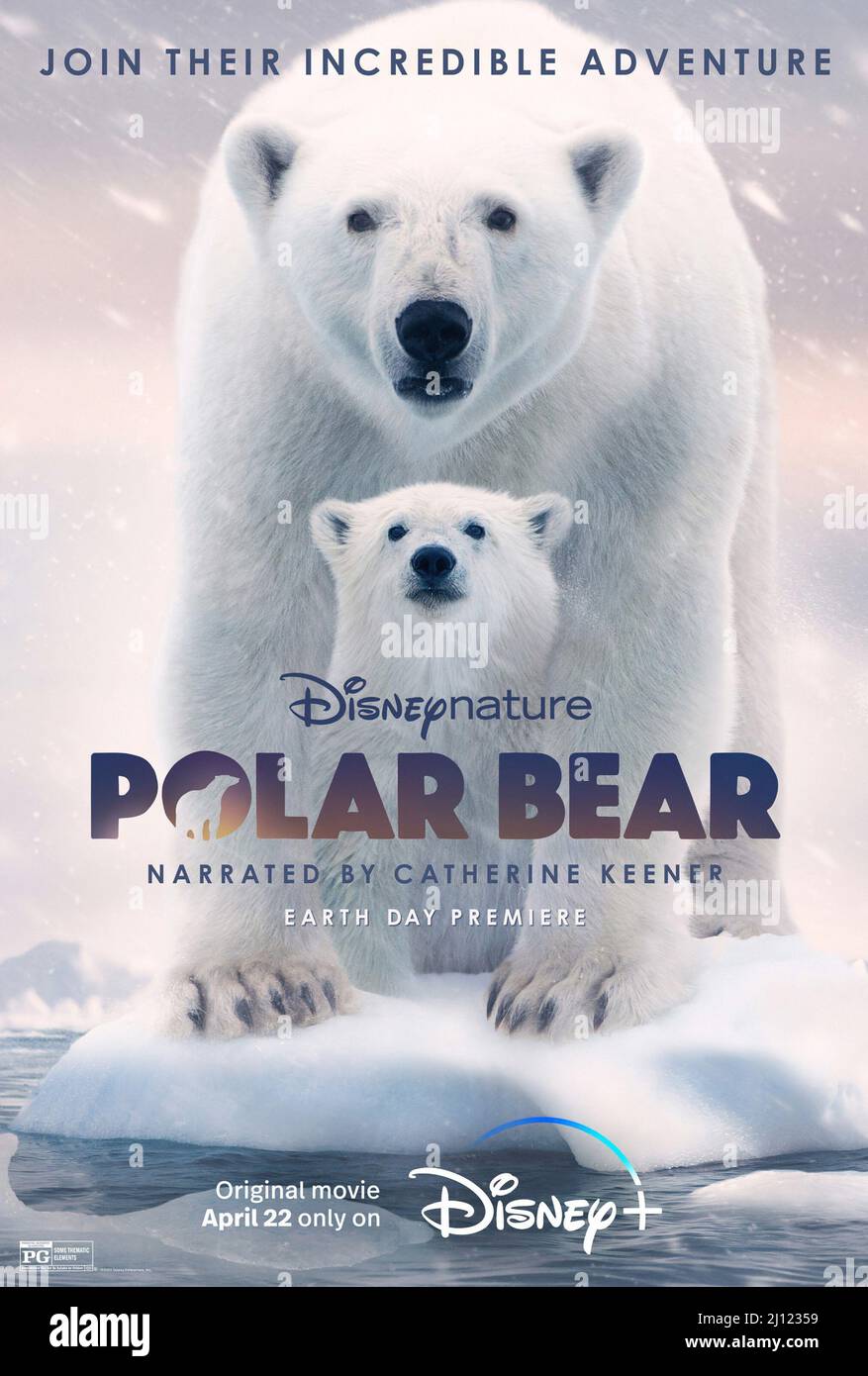 POLAR BEAR, US poster, 2022. © Disney+ / courtesy Everett Collection ...