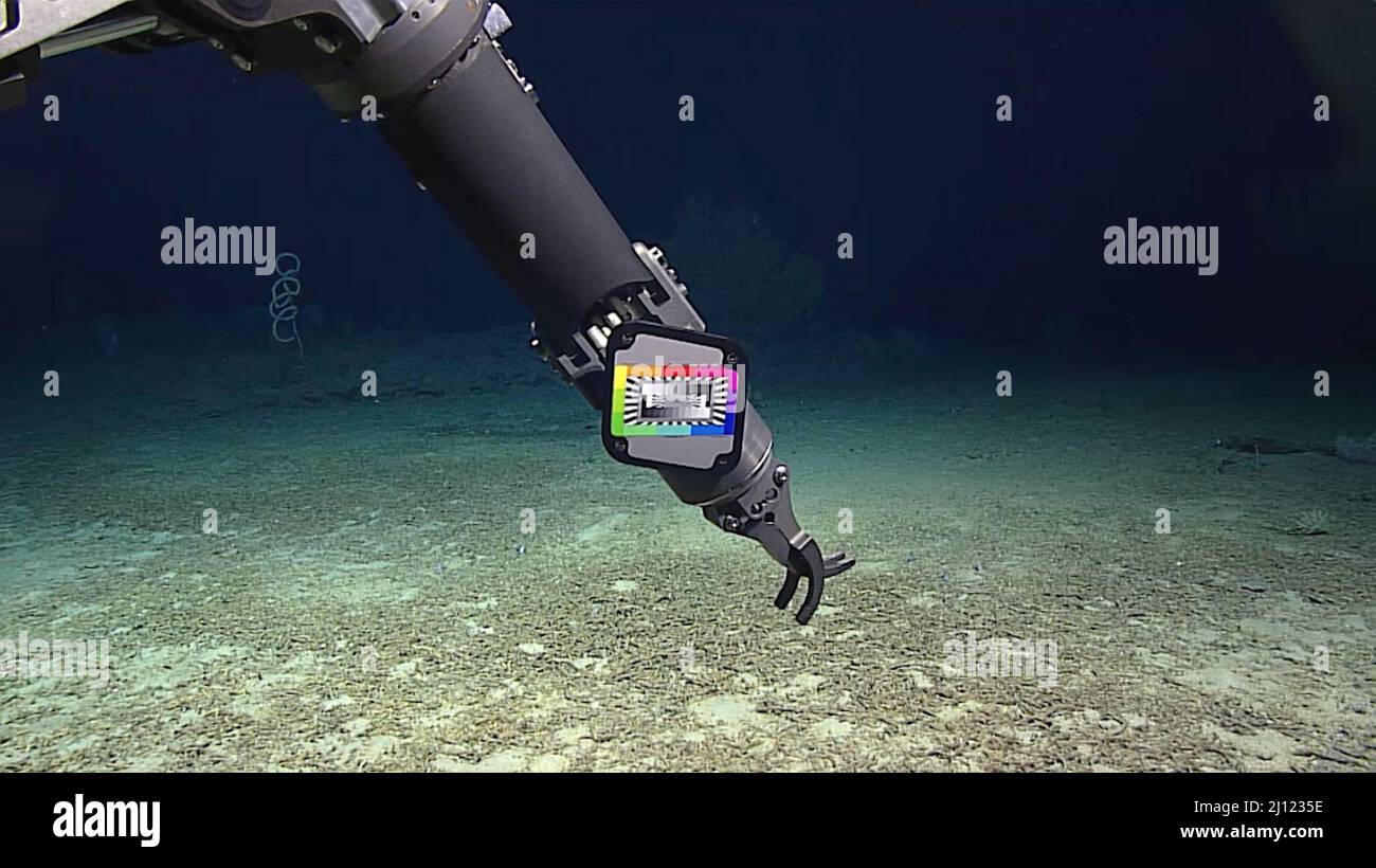 ROCK BOTTOM RISER, Hawaii, 2021. © The Cinema Guild / courtesy Everett ...