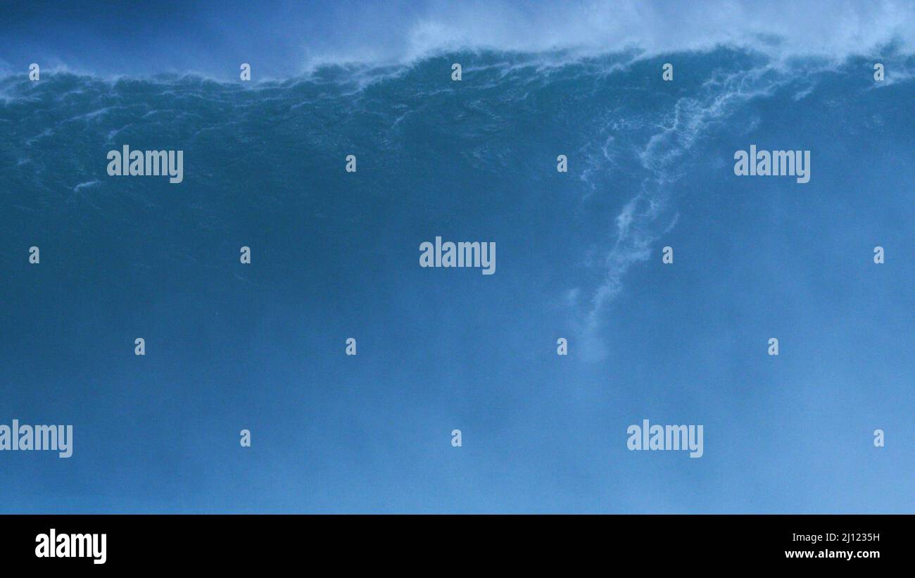 ROCK BOTTOM RISER, 2021. © The Cinema Guild / courtesy Everett ...