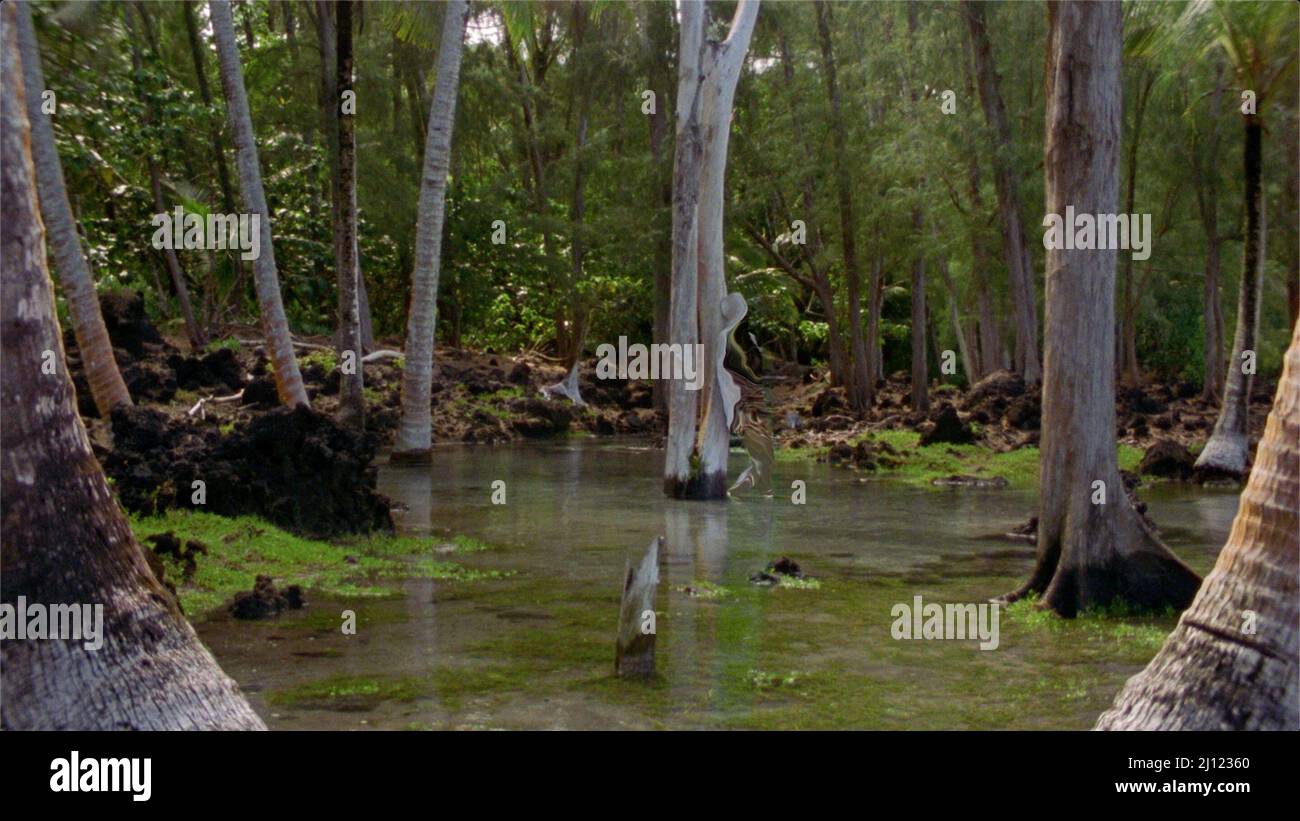 ROCK BOTTOM RISER, Hawaii, 2021. © The Cinema Guild / courtesy Everett ...