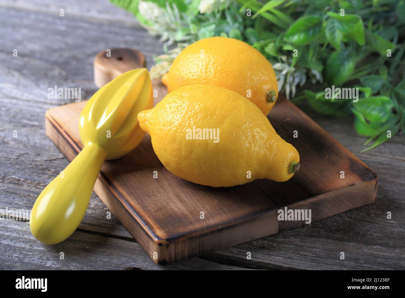 Two lemons on table hi-res stock photography and images - Alamy