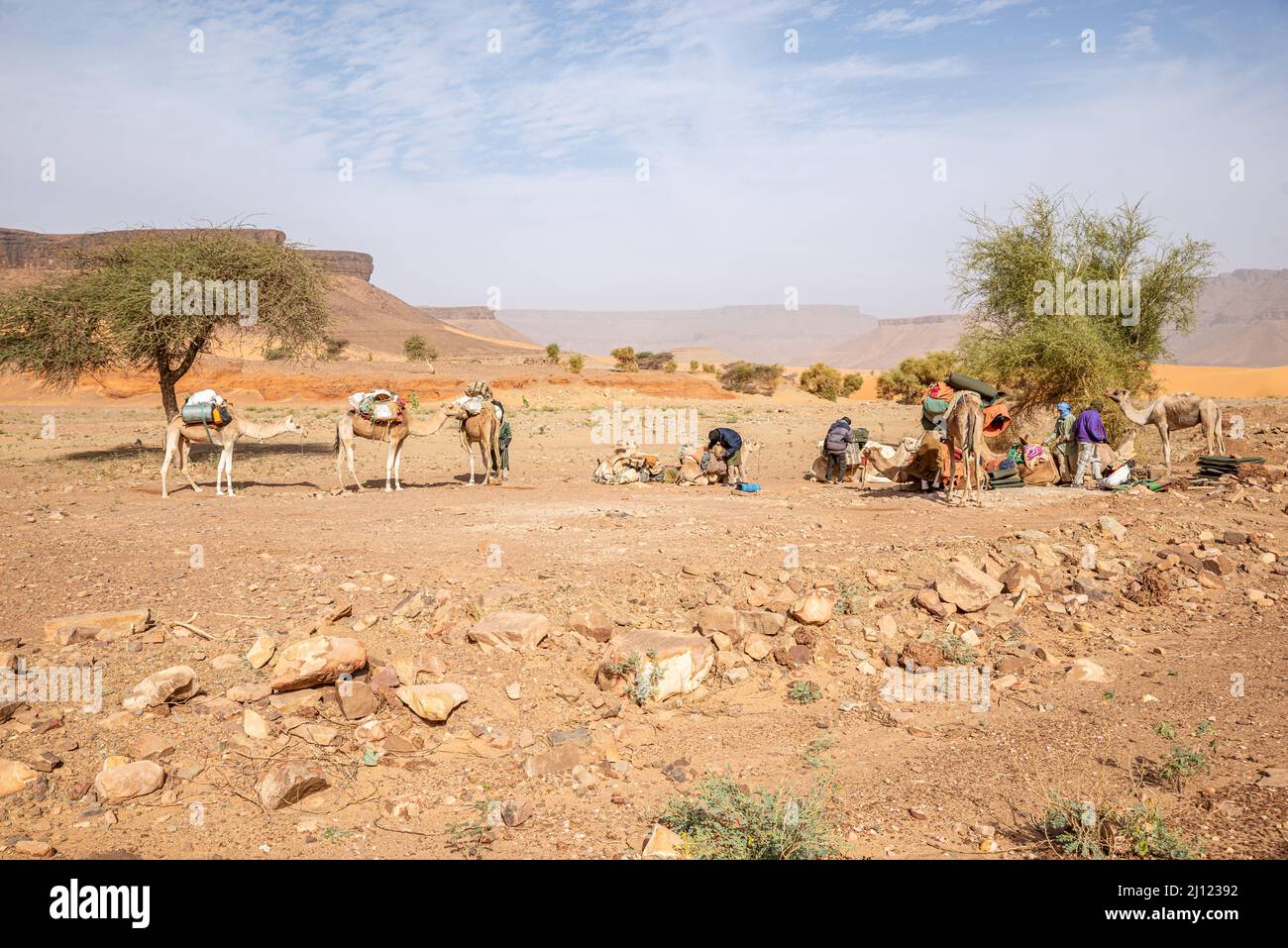 Mauritanian men arranging a caravan of tourists for a long crossing ...