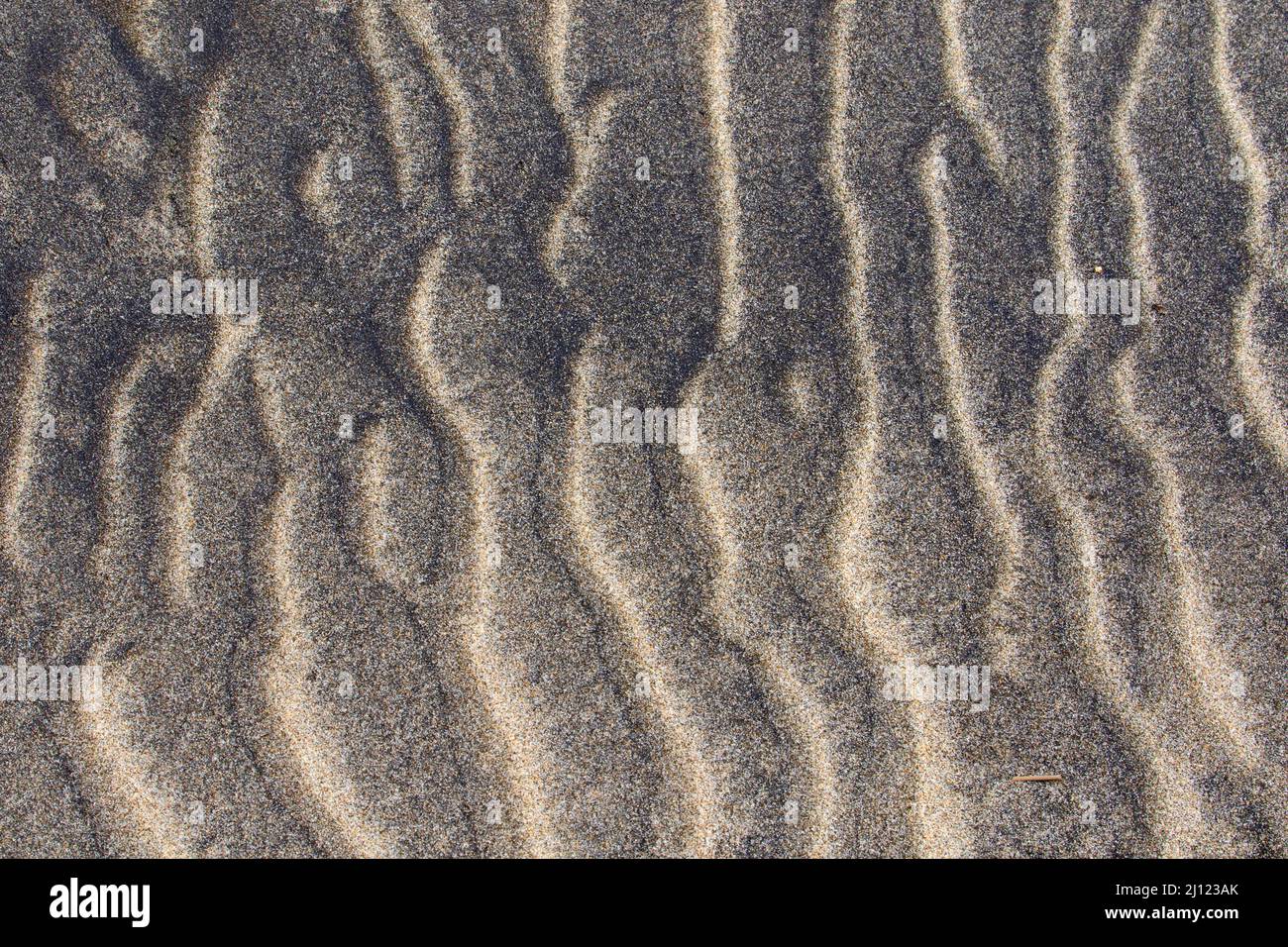 Sand ripples, Cape Lookout State Park, Oregon Stock Photo - Alamy