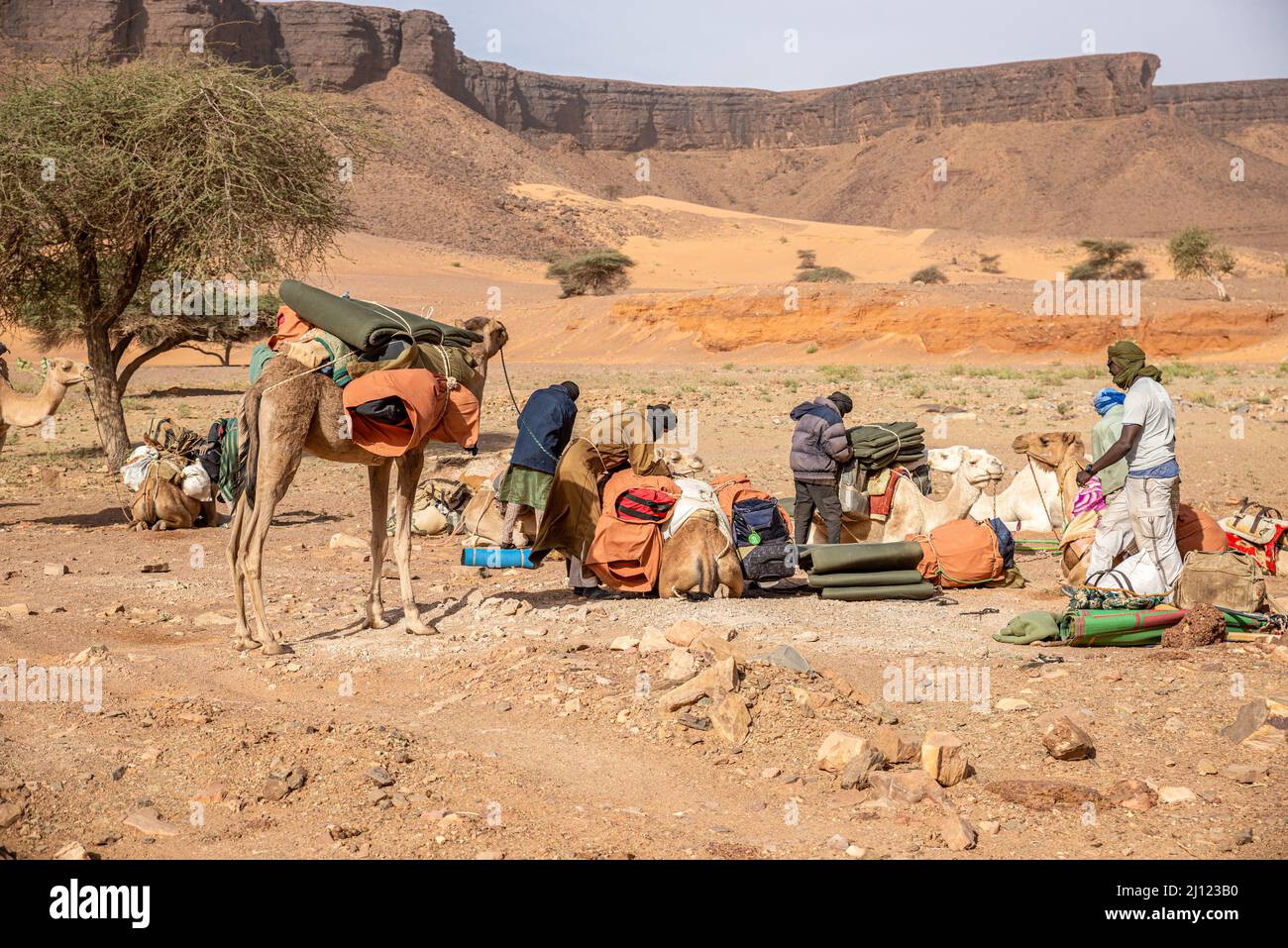 Mauritanian men arranging a caravan of tourists for a long crossing ...