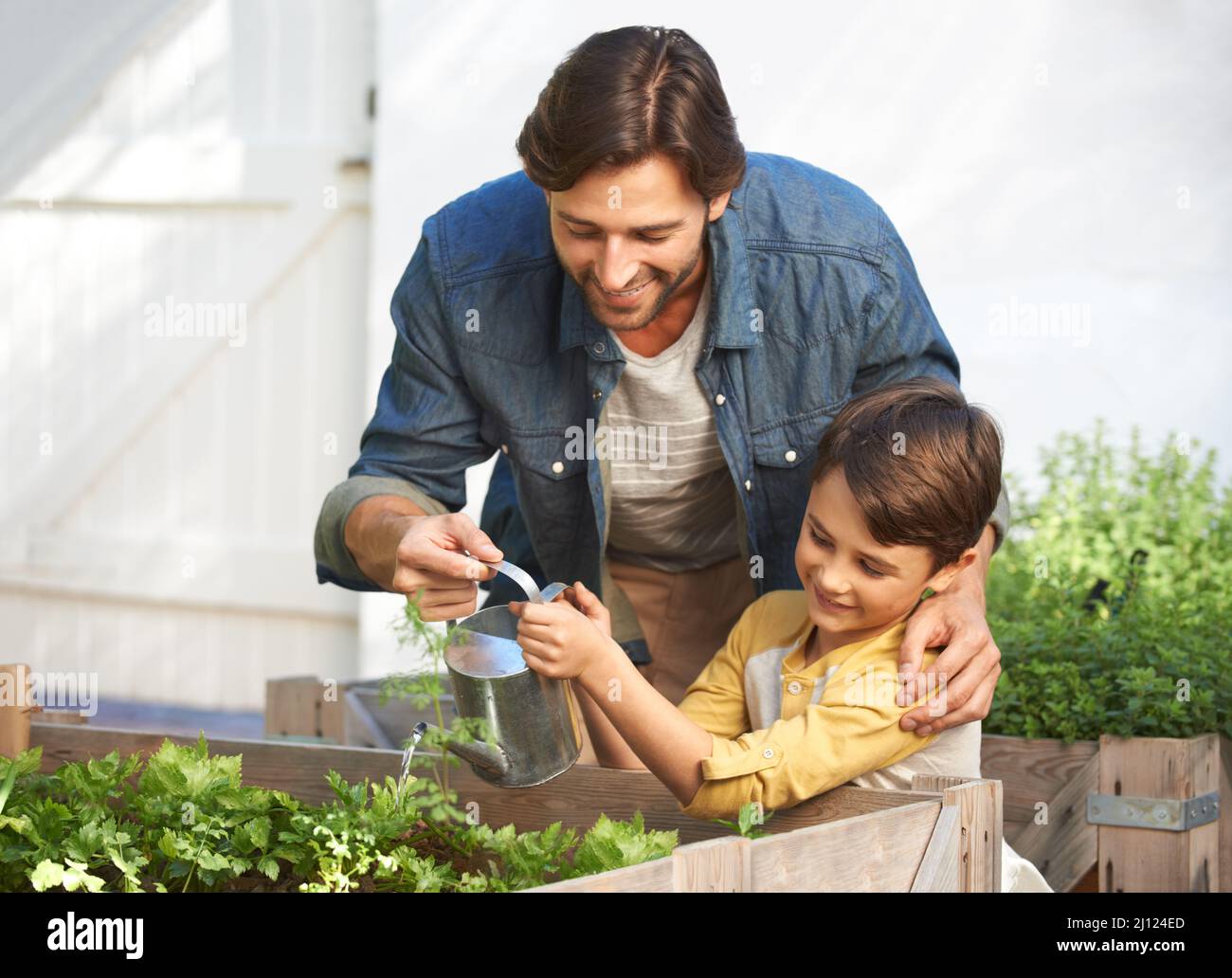 Father Son Watering Plant In High Resolution Stock Photography and ...