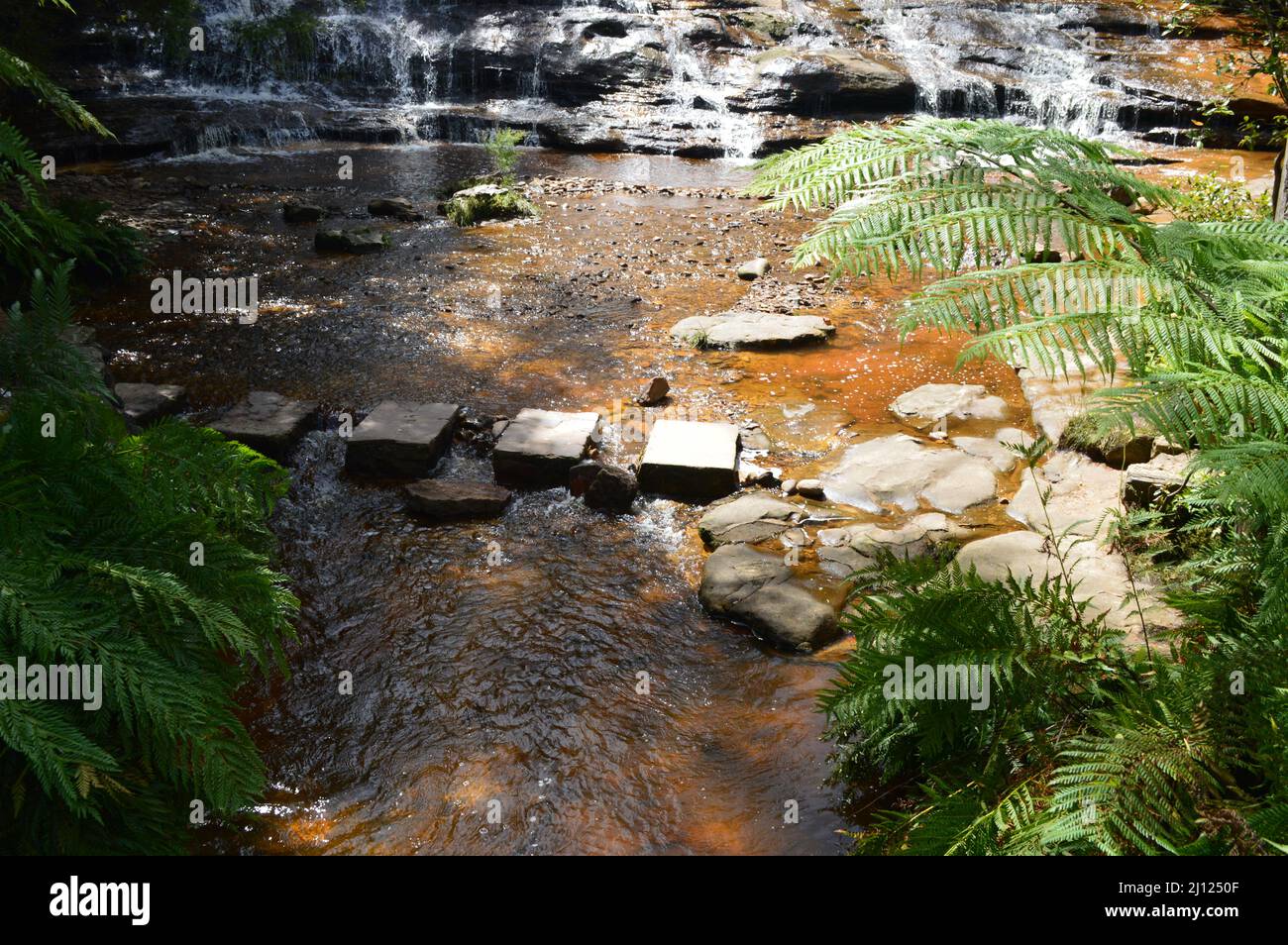 A stream in the Blue Mountains near Katoomba Cascades Stock Photo - Alamy