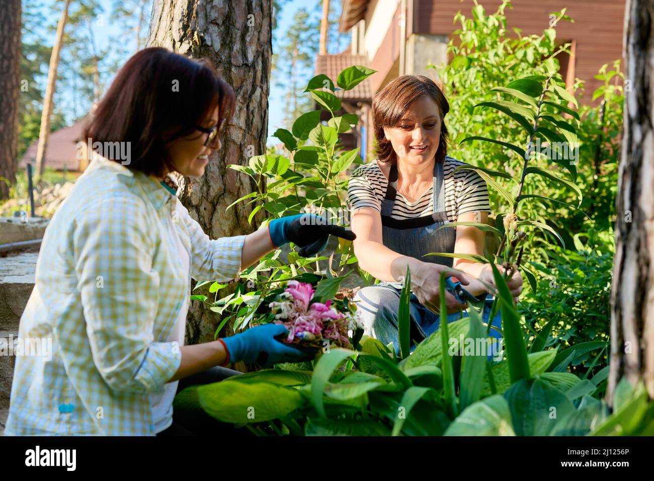 Two women girlfriends in the garden caring for plants Stock Photo - Alamy