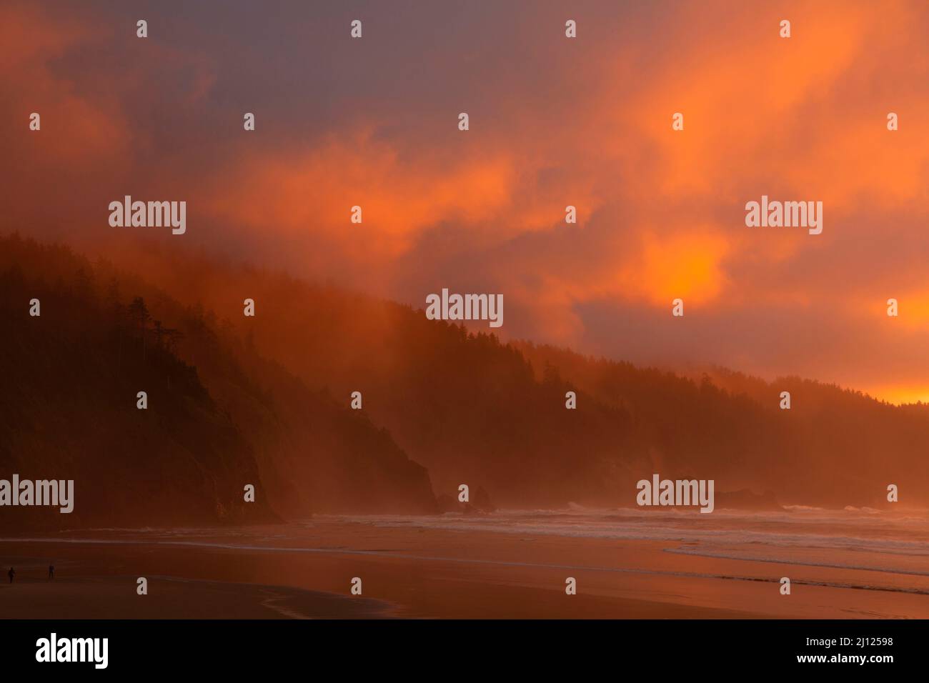 Cape Lookout sunset, Cape Lookout State Park, Oregon Stock Photo - Alamy