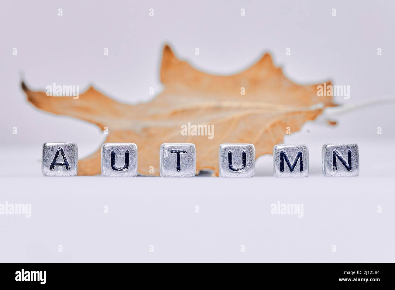 Autumn word on the white background and fall leaf Stock Photo - Alamy