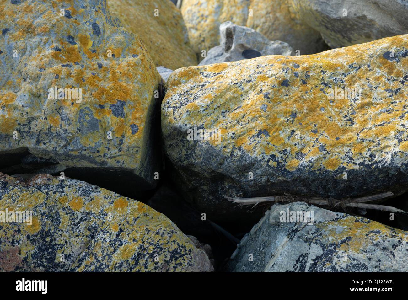 Grey rock pattern hi-res stock photography and images - Alamy