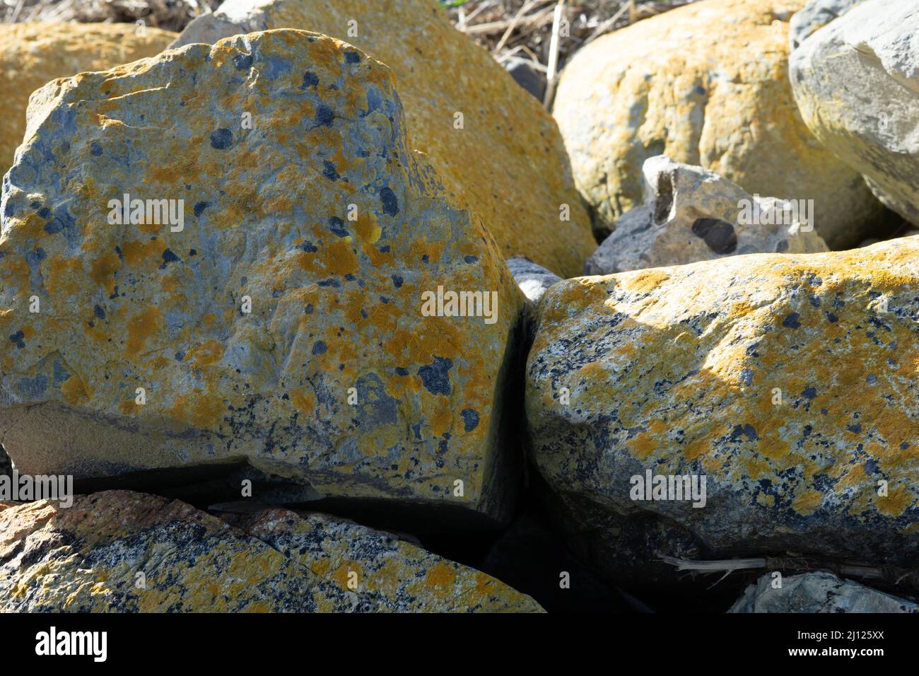 Pale stone and grey rock hi-res stock photography and images - Alamy