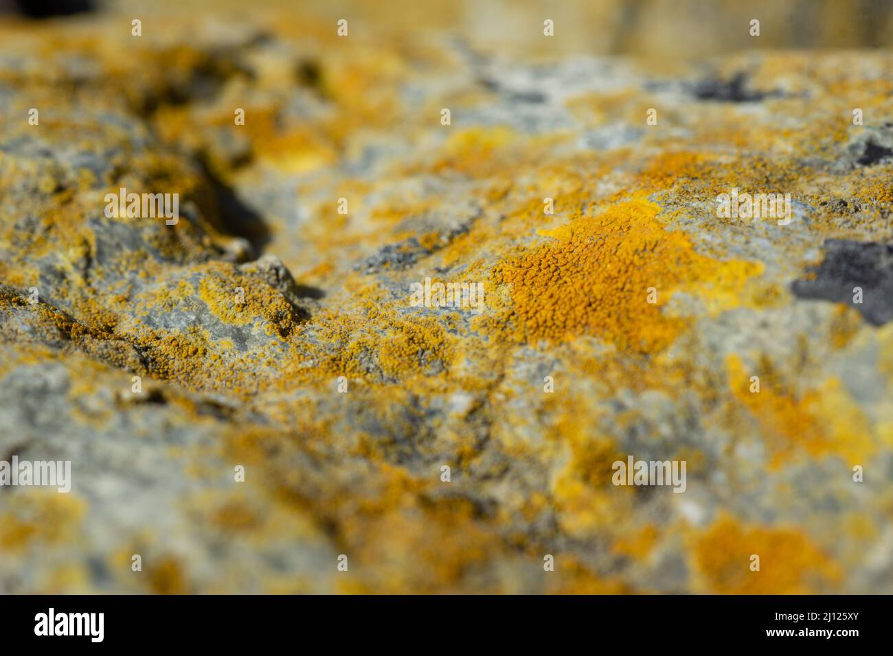 rock stone pattern Stock Photo - Alamy