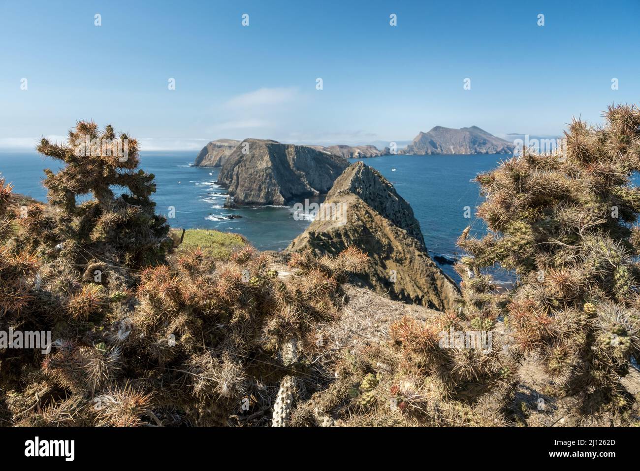 Dry Cactus Looks Over The Channel Islands in early fall Stock Photo - Alamy