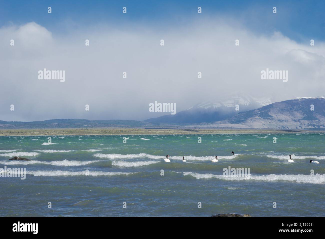 Sea, shore, landscape, relaxation Stock Photo - Alamy
