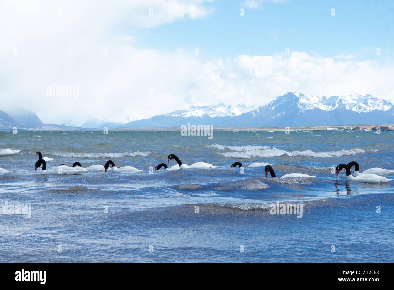 Sea, shore, landscape, relaxation Stock Photo - Alamy
