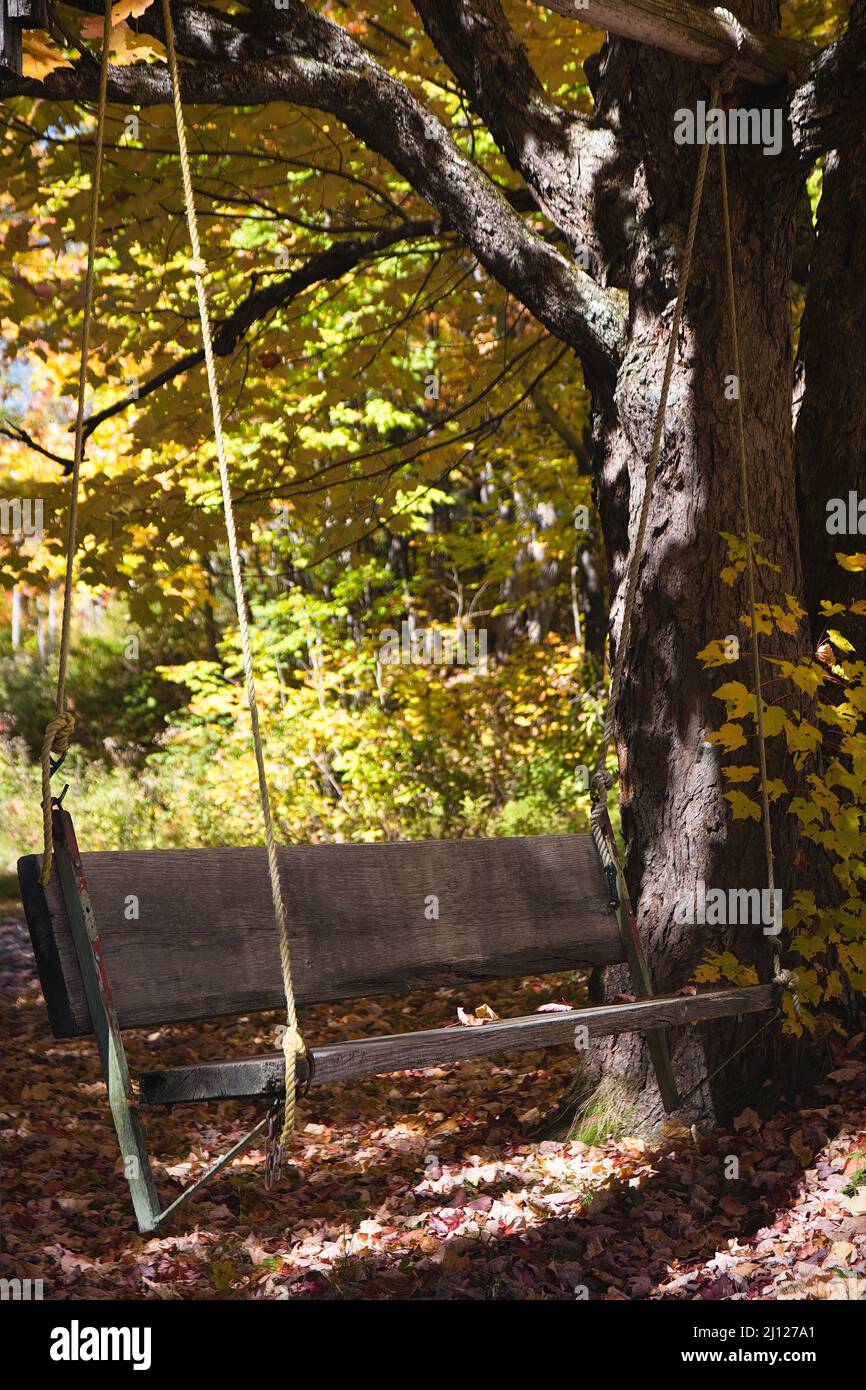Old wooden swing hi-res stock photography and images - Alamy