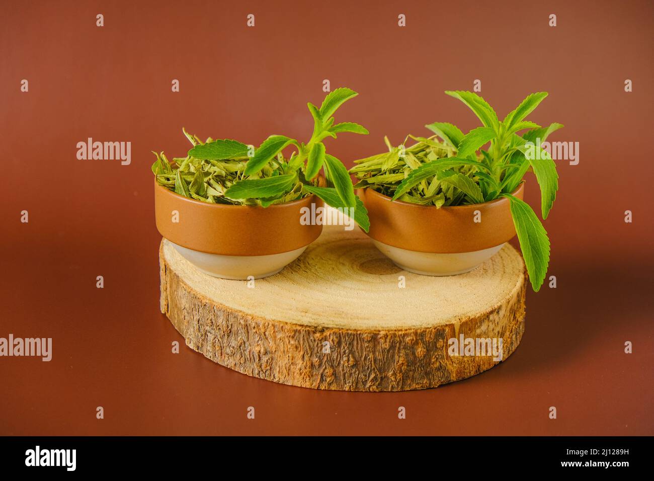Cut twig hi-res stock photography and images - Alamy