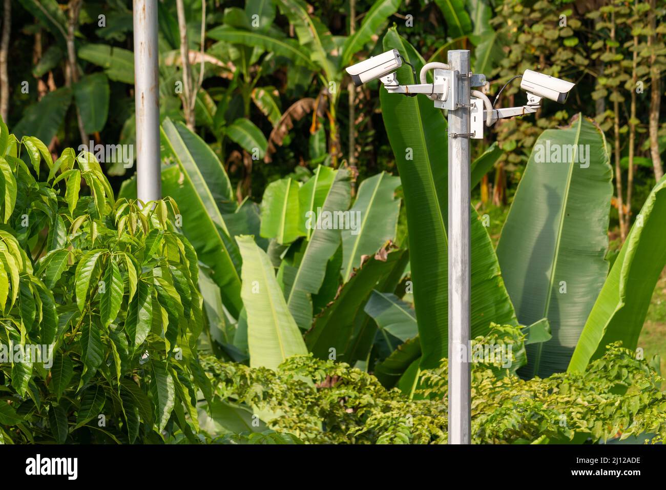 The use of cctv cameras to monitor environmental conditions so that ...