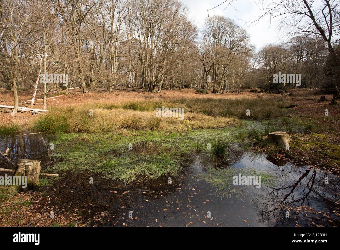 The old bog road hi-res stock photography and images - Alamy