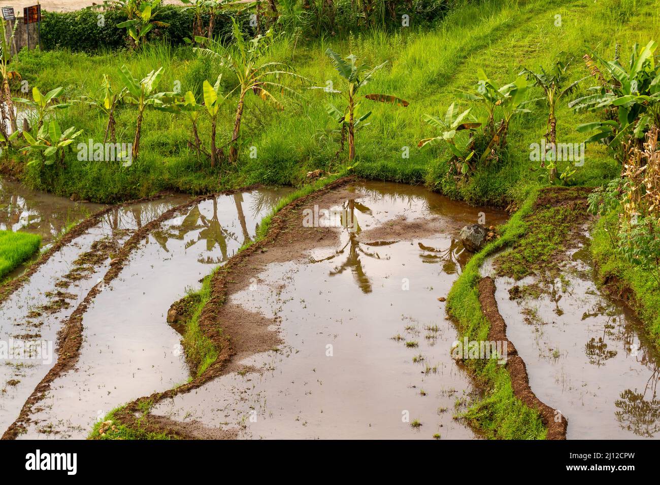 Traditional agricult hi-res stock photography and images - Alamy
