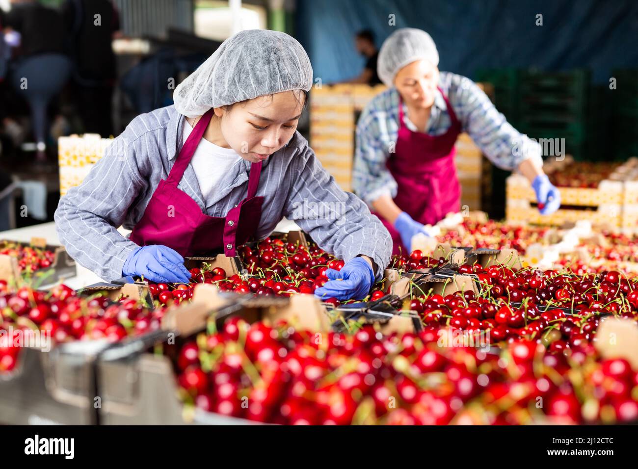 Girl and woman are working in warehouse Stock Photo - Alamy
