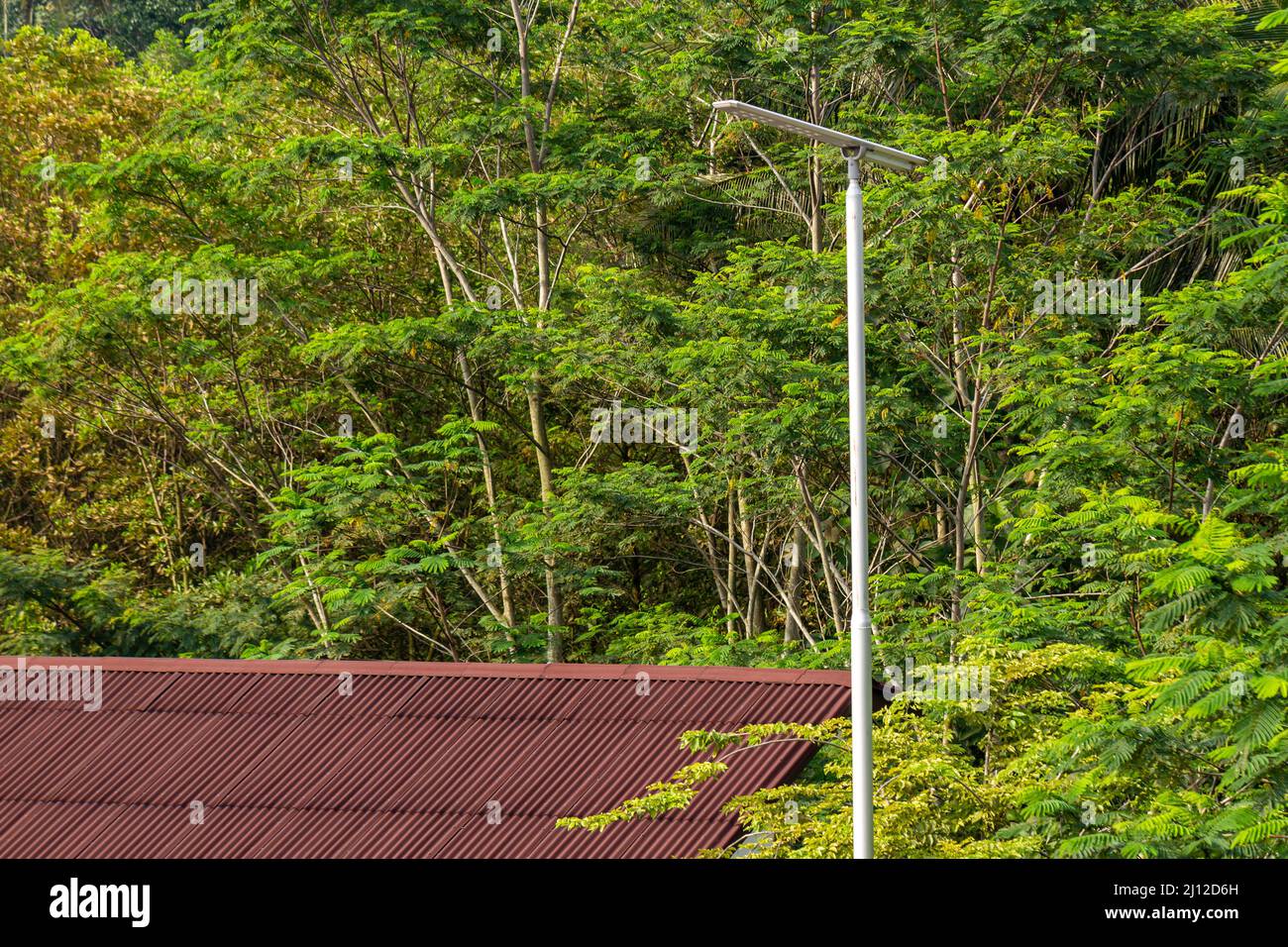 The use of solar panels to meet the needs of electrical energy in ...